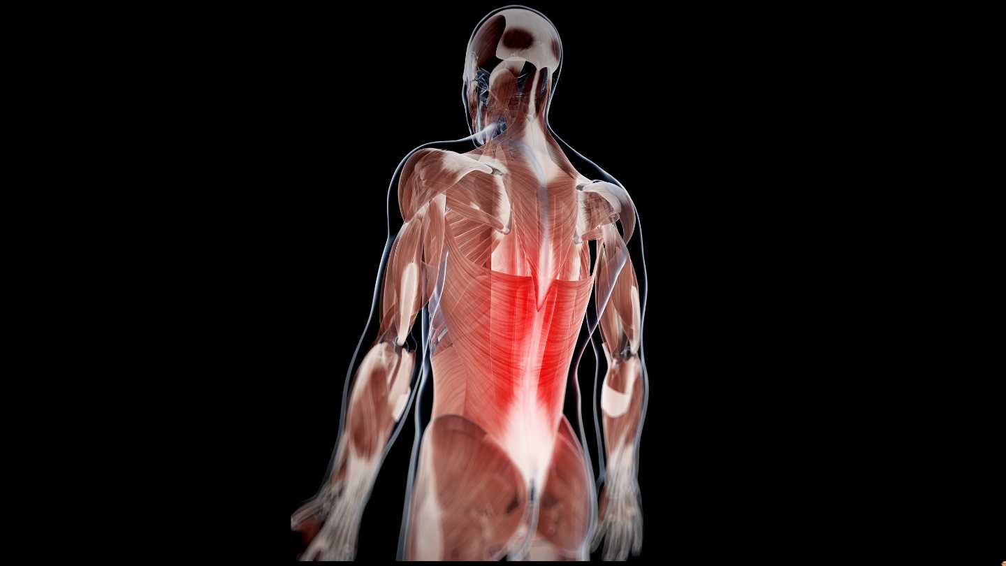 Cauze, simptome și soluții eficiente pentru febra musculara ...